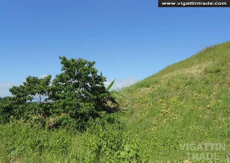 4.5 Hectares Umingan Pangasinan - Vigattin Trade