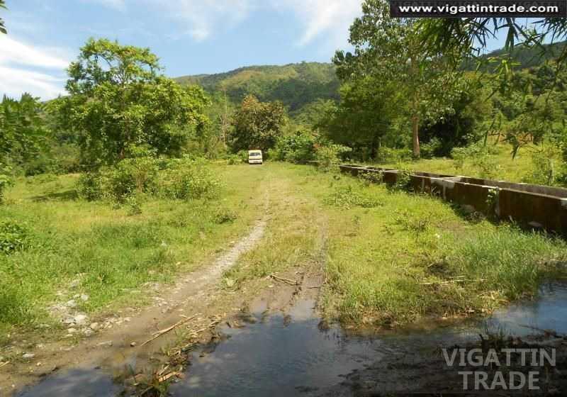 8.7 Hectares Umingan Pangasinan - Vigattin Trade