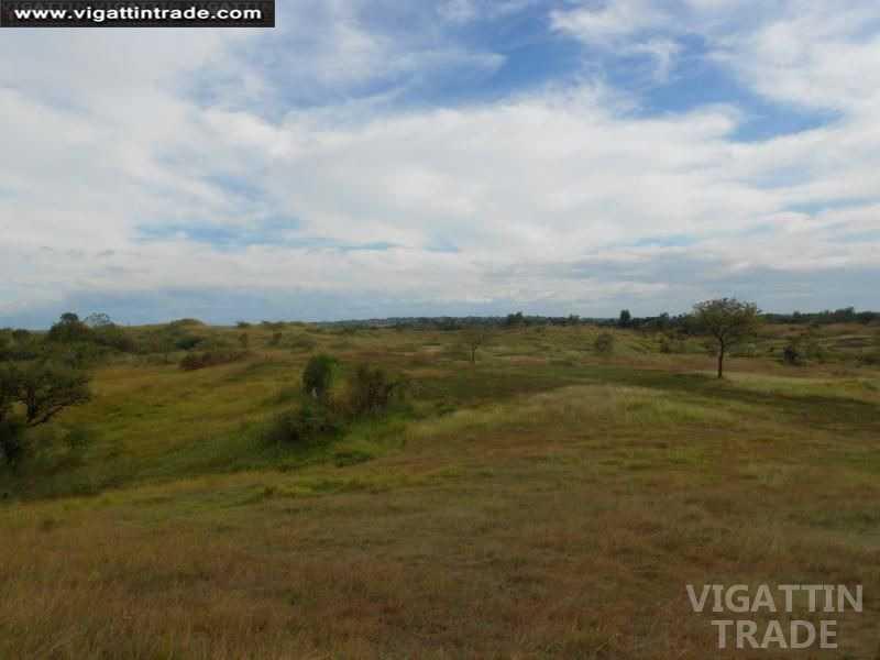 24 Hectares Cuyapo Nueva Ecija - Vigattin Trade