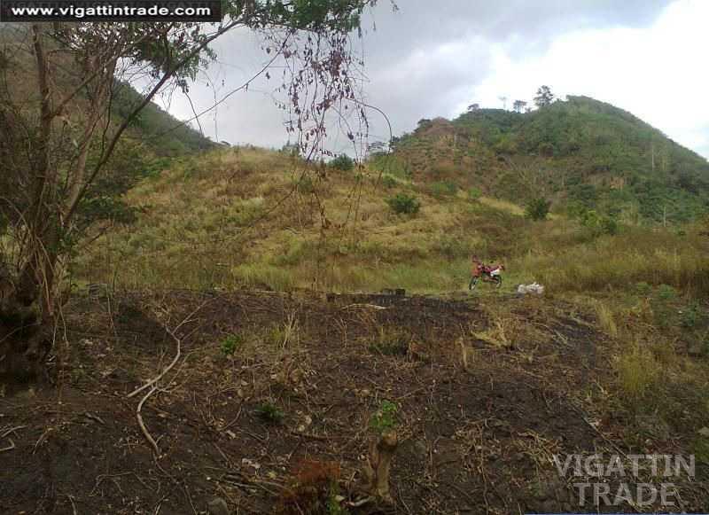 8 Hectares Umingan Pangasinan - Vigattin Trade