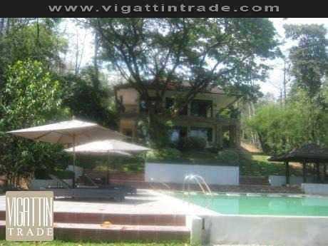 Residential Farm Lot at Forest Farms,Havila,Angono Rizal,978 sqm ...