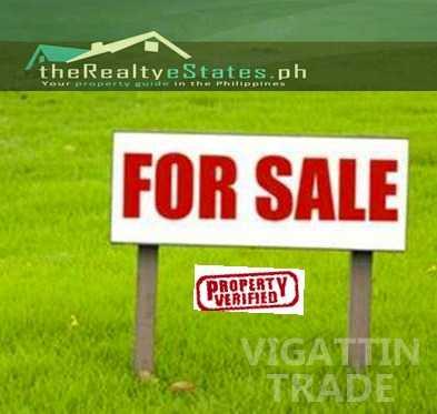 2 Hectare Land For Sale Brgy Palsara Balete Batangas - Vigattin Trade
